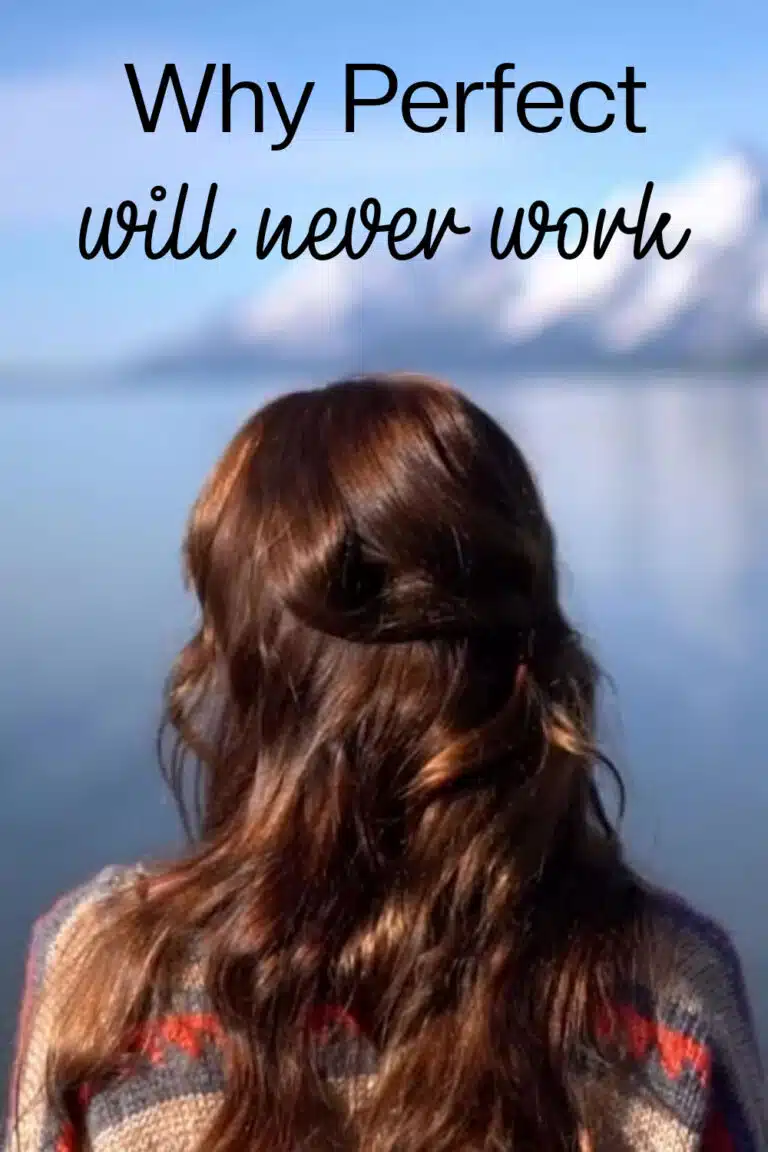 Why Being Perfect Will Never Satisfy - Jen Schreiner